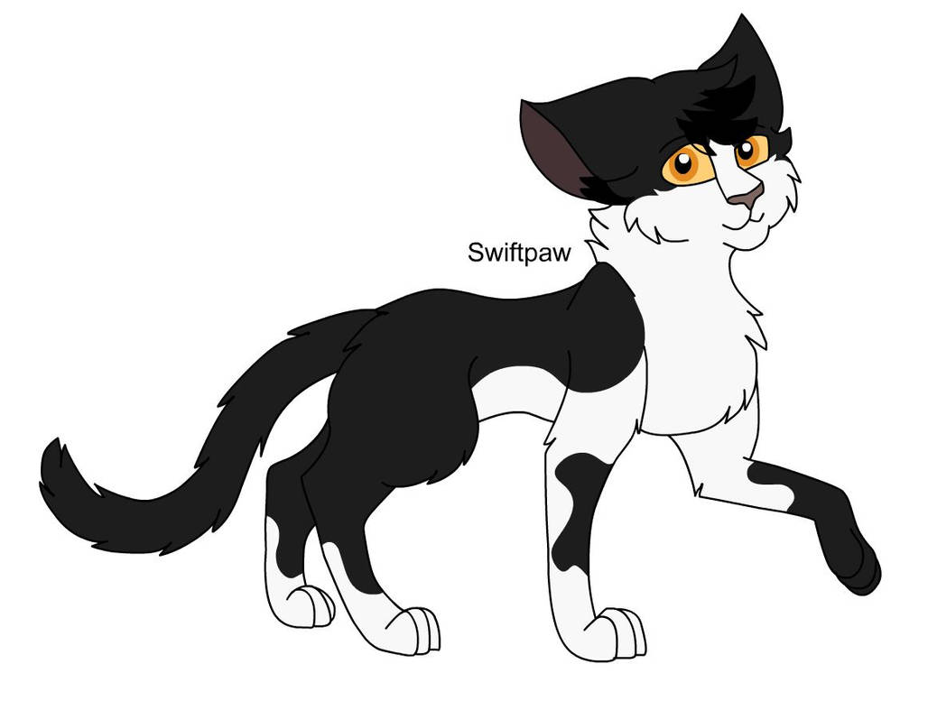 Warriors Design 445 Redesign Swiftpaw By Thedawnmist On Deviantart