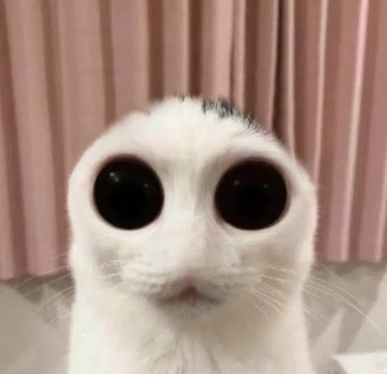 Gabs memes:alien cat by GabsandSonicandpink on DeviantArt Gabs memes:alien cat by GabsandSonicandpink on DeviantArt