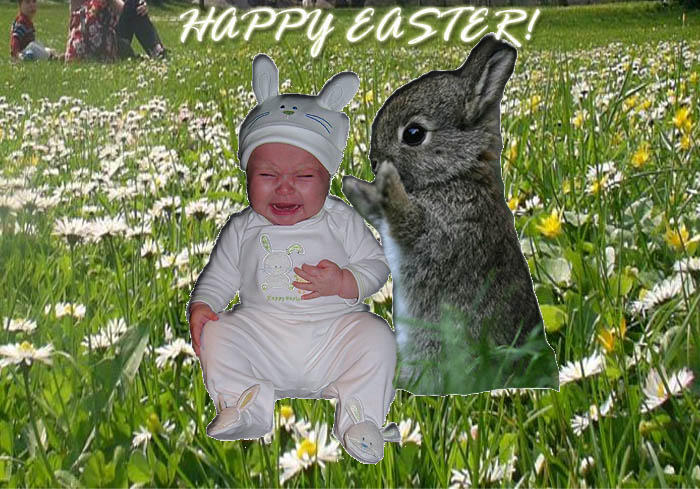 dangerous rabbits by lovetracee on DeviantArt