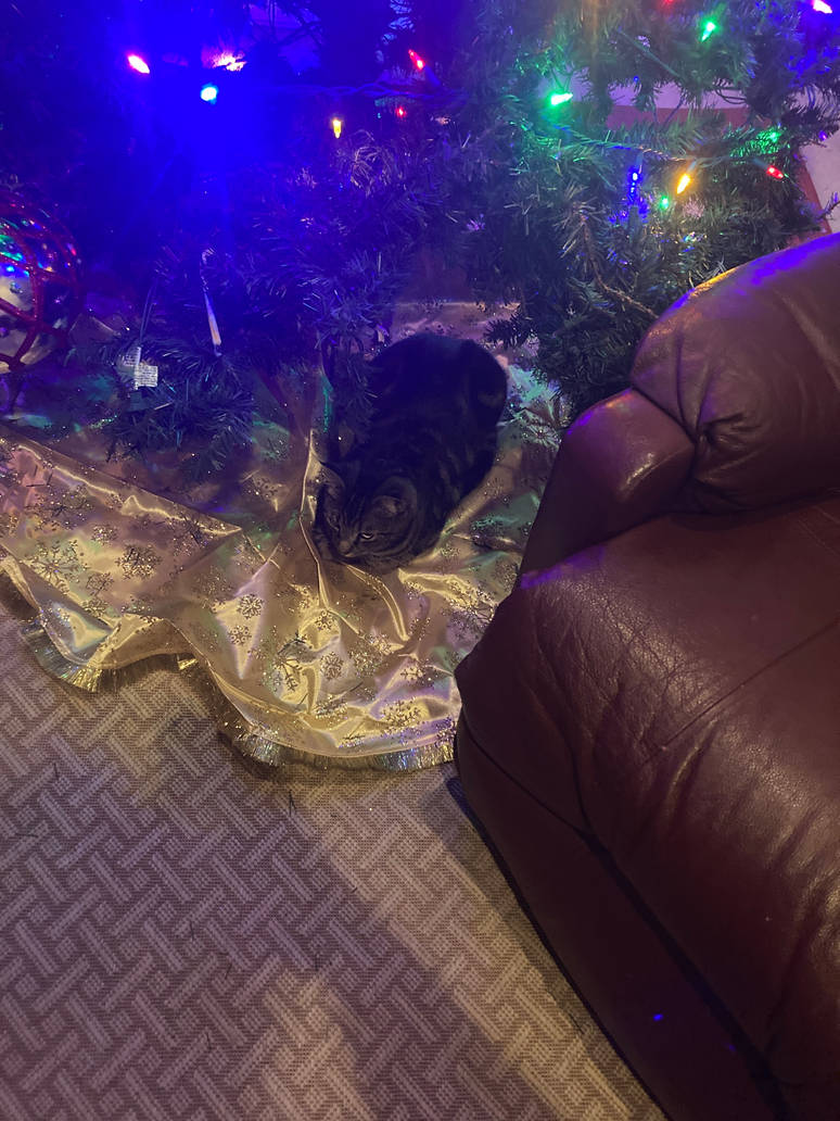 Cat Under The Christmas Tree By Creatorprice On Deviantart