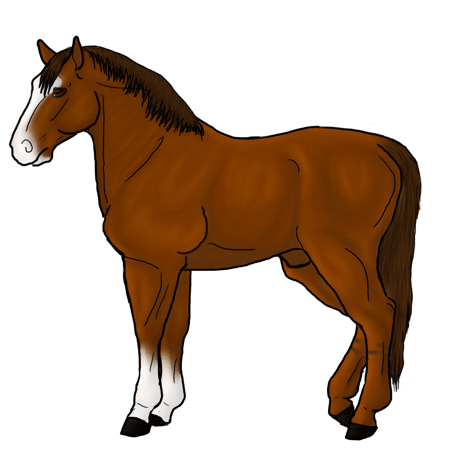 CS Master Donovan by AthenaMyth on DeviantArt CS Master Donovan by AthenaMyth on DeviantArt