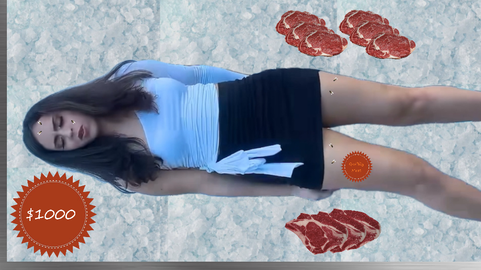 Girl Meat Sale By Ryonaallison On Deviantart