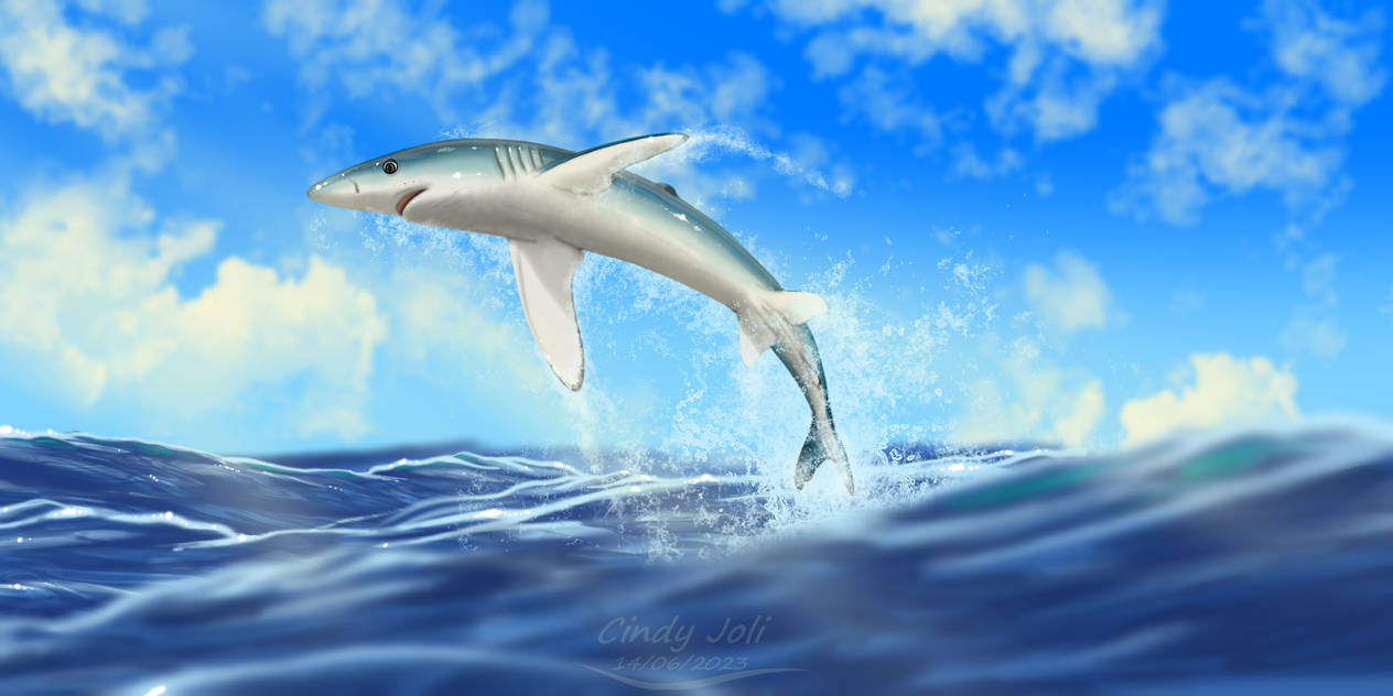~Blue Breach~ by JoliAquaIslander on DeviantArt ~Blue Breach~ by JoliAquaIslander on DeviantArt
