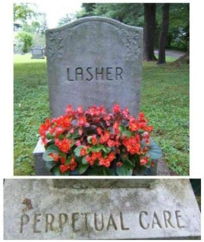 Lasher by xmagentabluex on DeviantArt