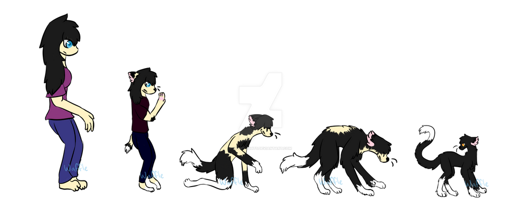 Girl To Cat Transformation By Nightliqhts On Deviantart