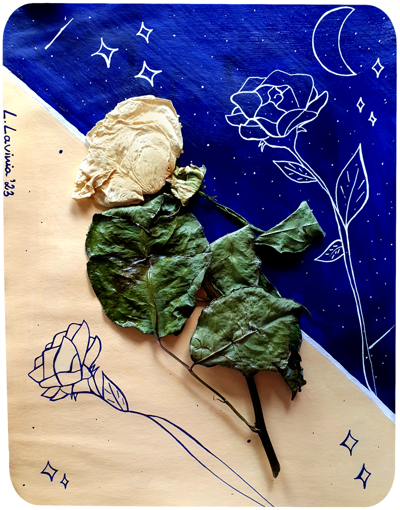 Day N Night Roses By Heroxd On Deviantart