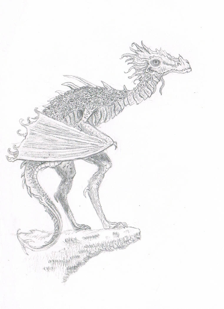 Wyvern Dragon By Tesstennant On Deviantart