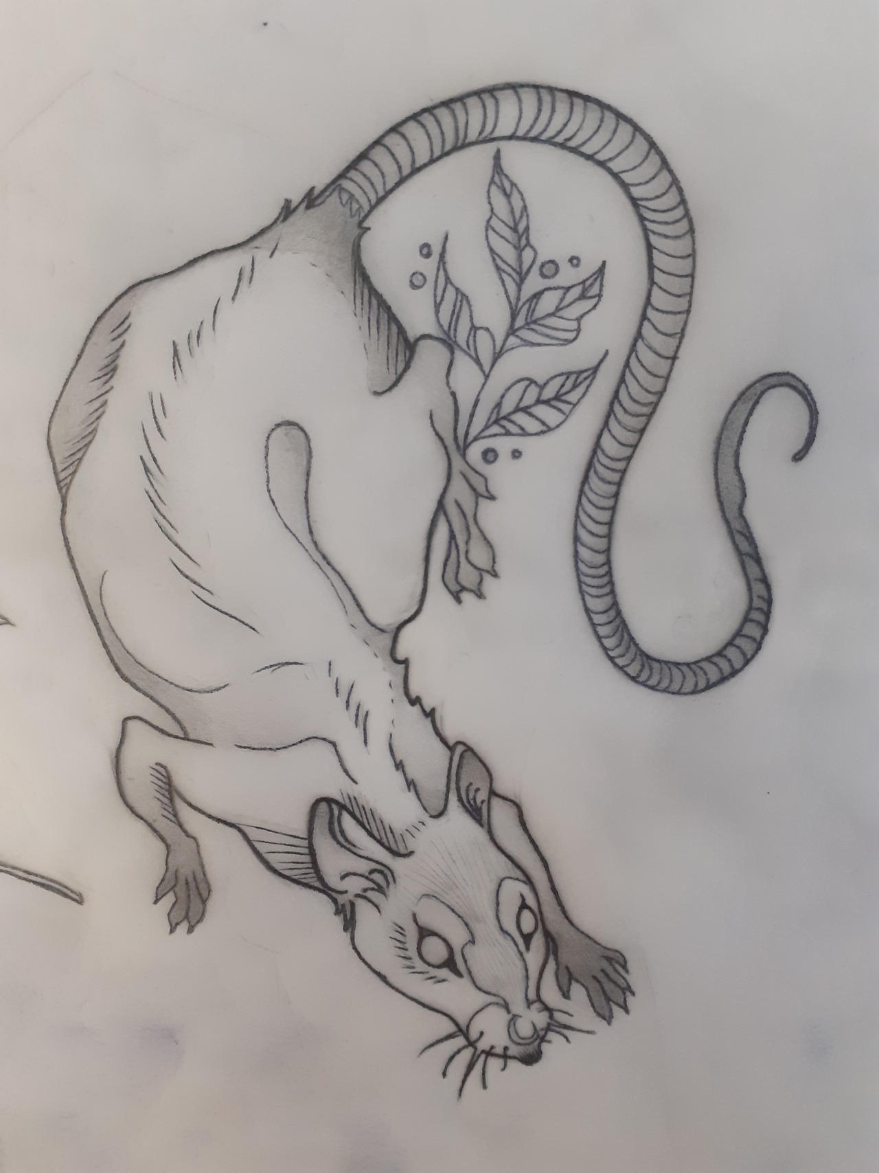 Rat Tattoo Design By Cecicaracol On Deviantart