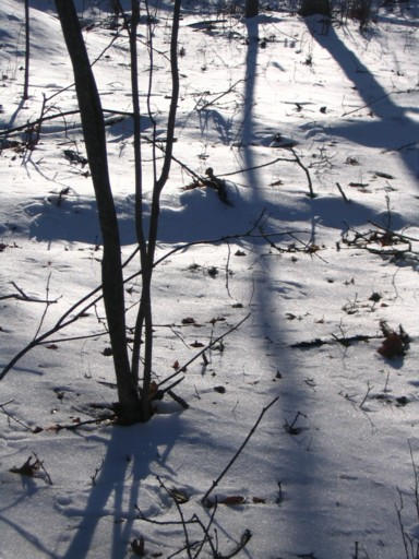 ice and shadow by bluecry on DeviantArt