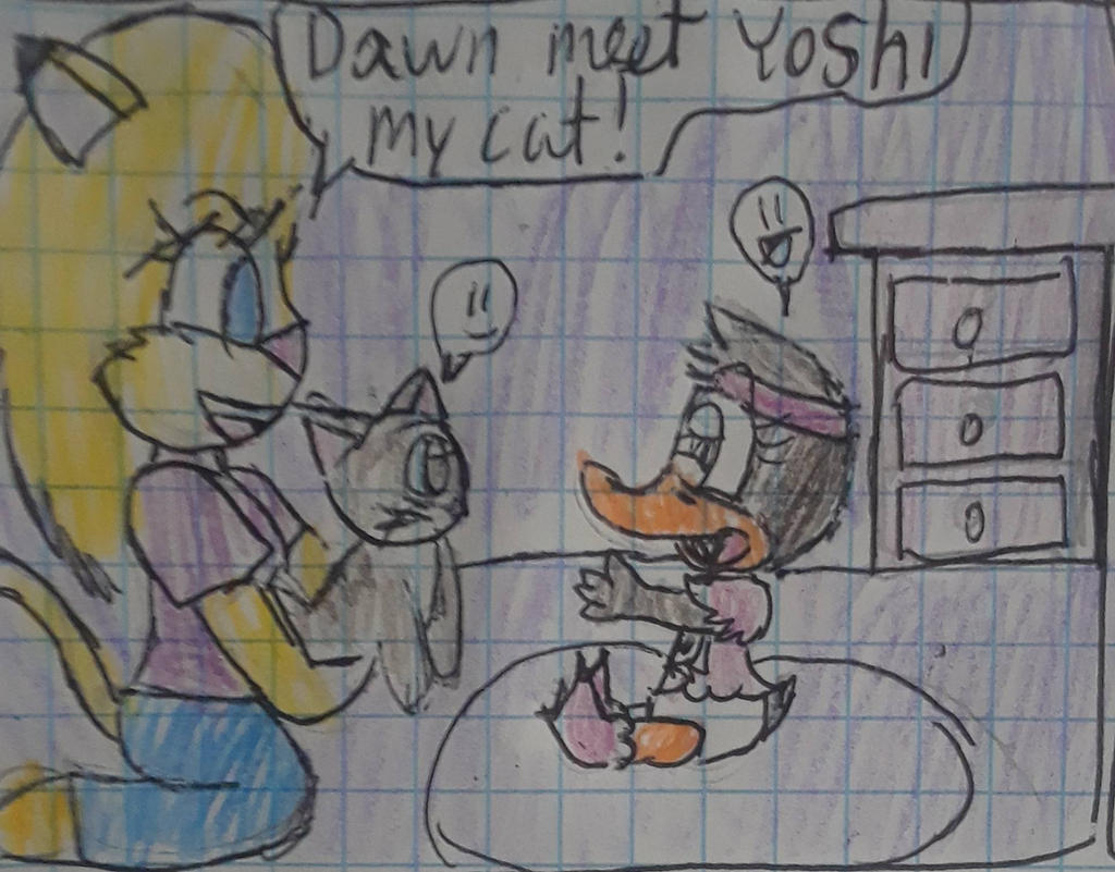 Dawn Meets Yoshi The Cat By Mariafangirl1998 On Deviantart