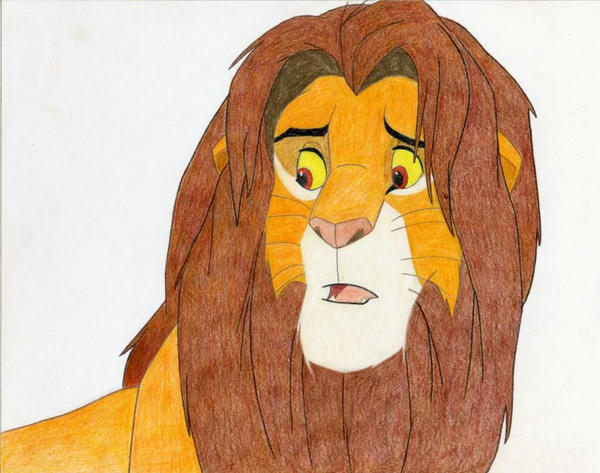 Adult Simba by Kordyne on DeviantArt