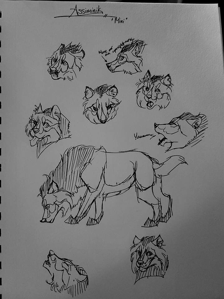 TOKOTAS | Assiminik | HP Sheet by AcrylicFoxCreations on DeviantArt TOKOTAS | Assiminik | HP Sheet by AcrylicFoxCreations on DeviantArt