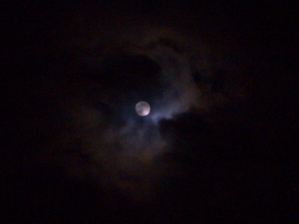 Luna lunera by Lyuba on DeviantArt