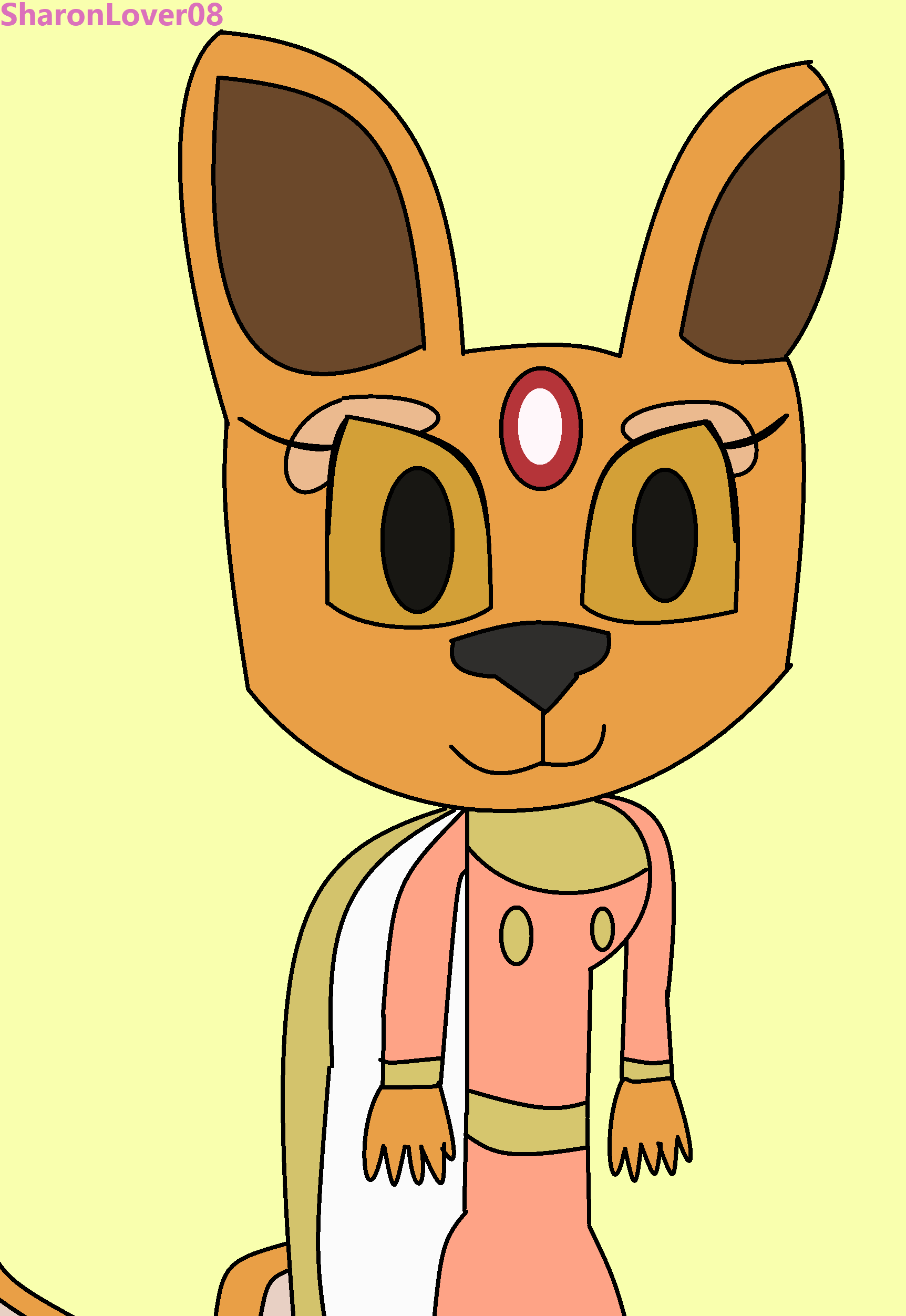 Kangaroo In Indian Outfit By Sharonlover08 On Deviantart