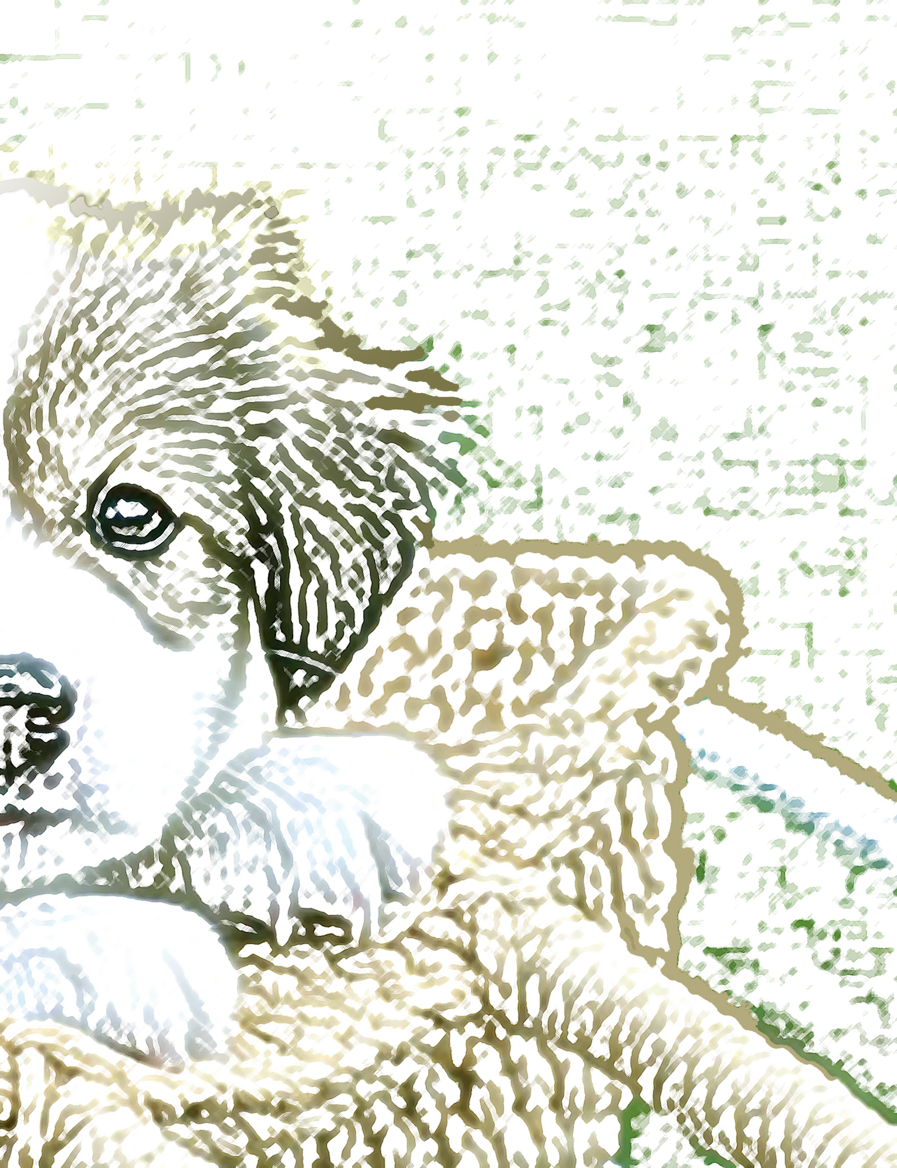 doggie by albert4 on DeviantArt