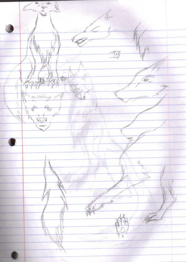 Silly Wolf Doodles by lakutua on DeviantArt