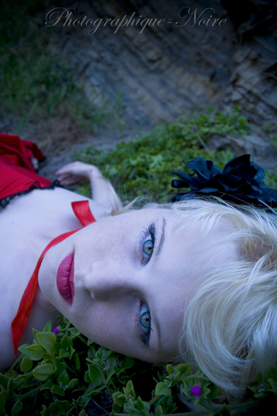 Cat Eyes By Photographique Noir On Deviantart