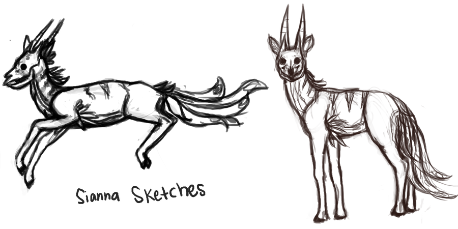 Sianna Sketches By Lilydapple2 On Deviantart