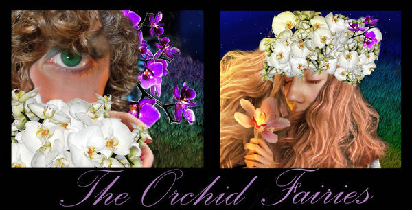 the orchid fairies by jade2931 on DeviantArt