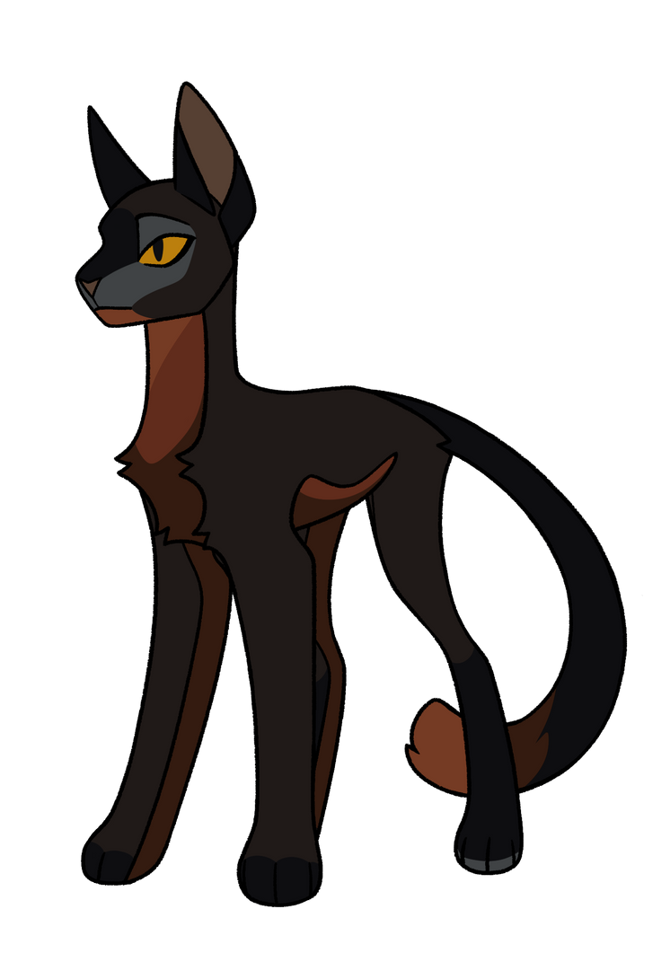 Warrior Cats Designs Spiderleg By Hazledusk On Deviantart