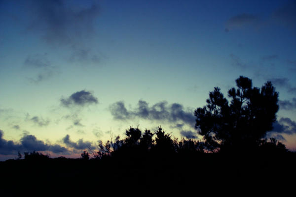 Alba by TResKA on DeviantArt