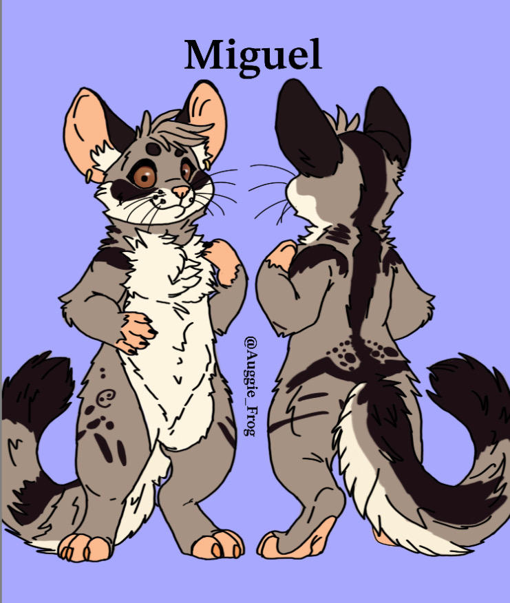 New Chinchilla Character I Made By Auggiefrog04 On Deviantart