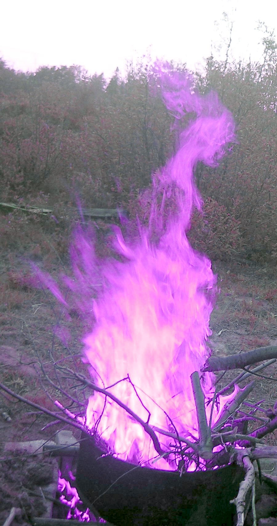 Purple Fire by kosmoistotallyrad on DeviantArt