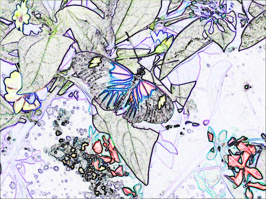 Acid Butterfly by LoboSabio on DeviantArt