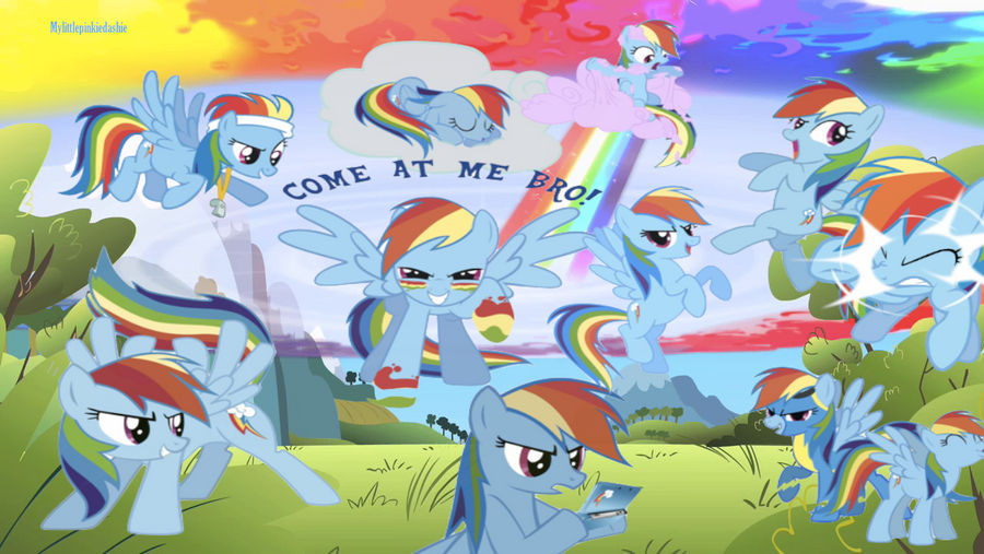 New Rainbow Dash Collage By Mylittlepinkiedashie On Deviantart