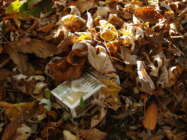 Poor Nature by Kapatipu on DeviantArt