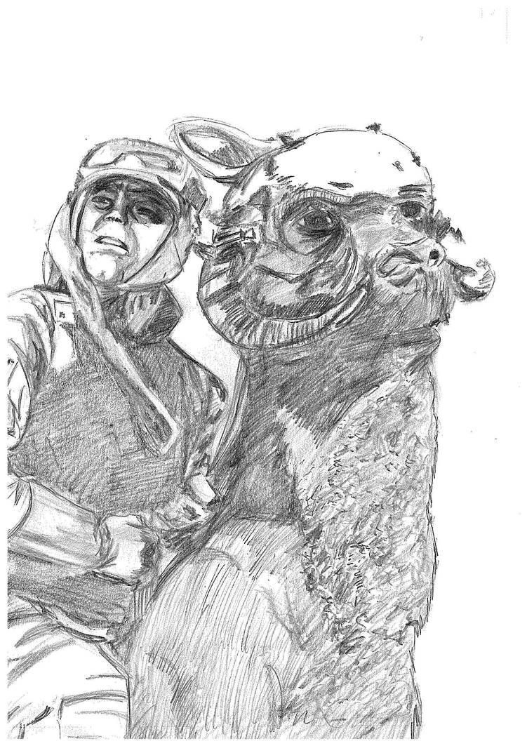 Star Wars (Taun Taun) by shadouryu on DeviantArt Star Wars (Taun Taun) by shadouryu on DeviantArt