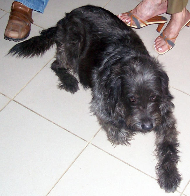 Mike Tyson by DARTH-KANETAKER on DeviantArt