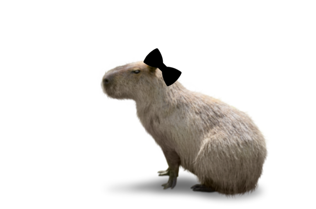 Female Capybara By Pbs9944loud On Deviantart