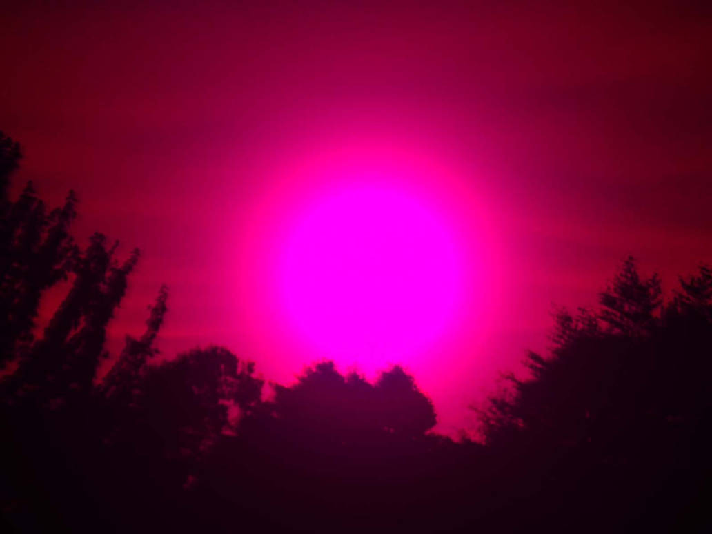 Hot Pink Sun by ediblehearts on DeviantArt