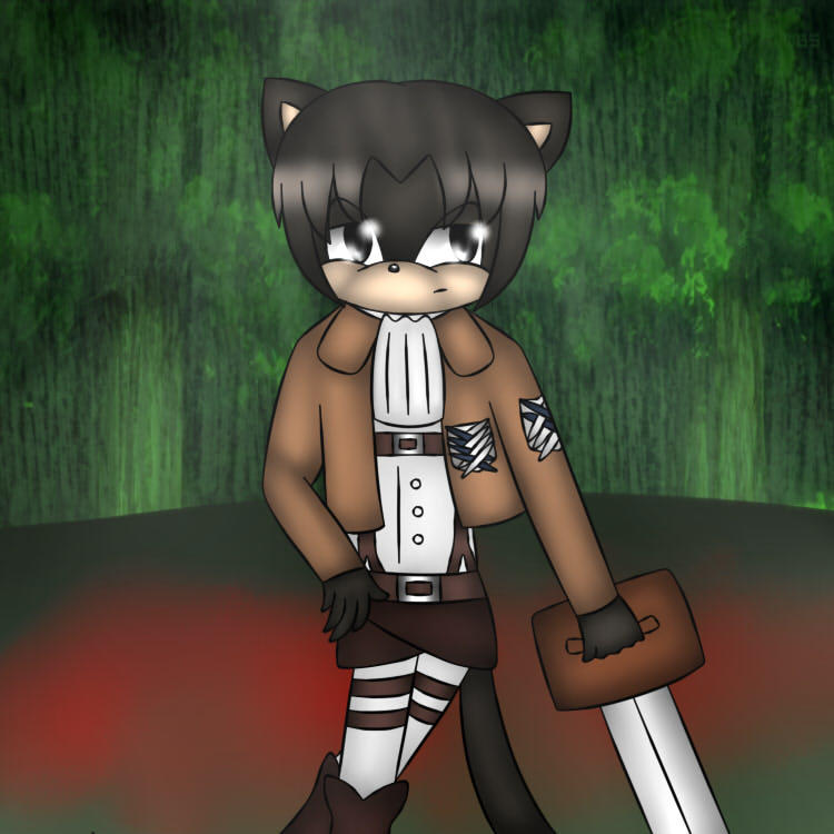 Levi Ackerman In Sonic Form Remake By Kawaiianimegirlxox On Deviantart