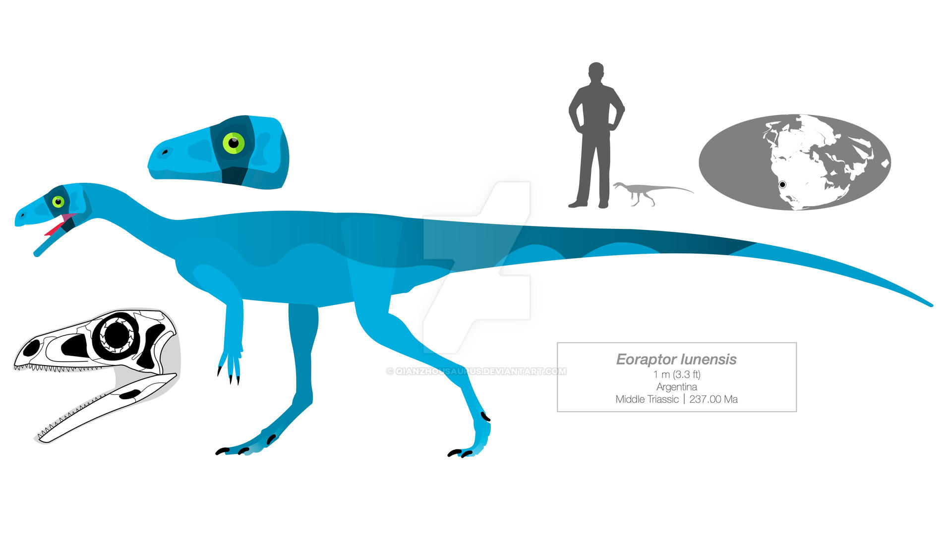 Eoraptor lunensis by Qianzhousaurus on DeviantArt Eoraptor lunensis by Qianzhousaurus on DeviantArt