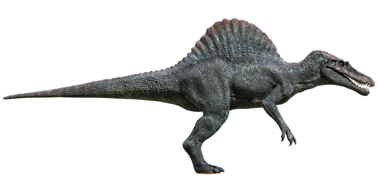 Jurassic Park 3 Spinosaurus By Stylizedfnafpack On Deviantart