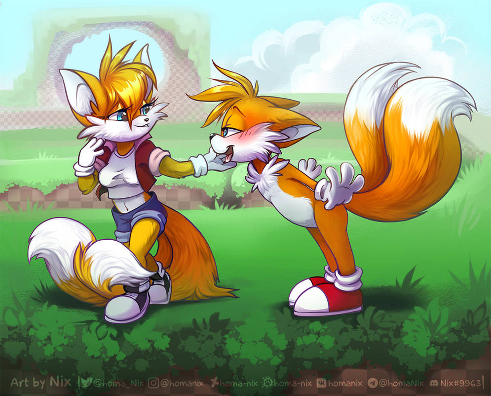Tailsco And Tails By Homa Nix On Deviantart