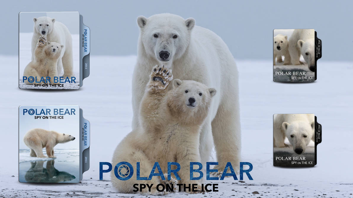 Polar Bear: Spy On The Ice (2011) by mbfire on DeviantArt