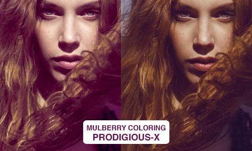 Mulberry Coloring #6 by conformityx on DeviantArt