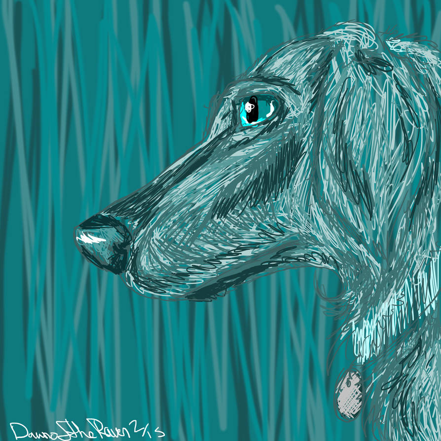 Scratch Color Study Dog by Dawn-of-the-Raven on DeviantArt