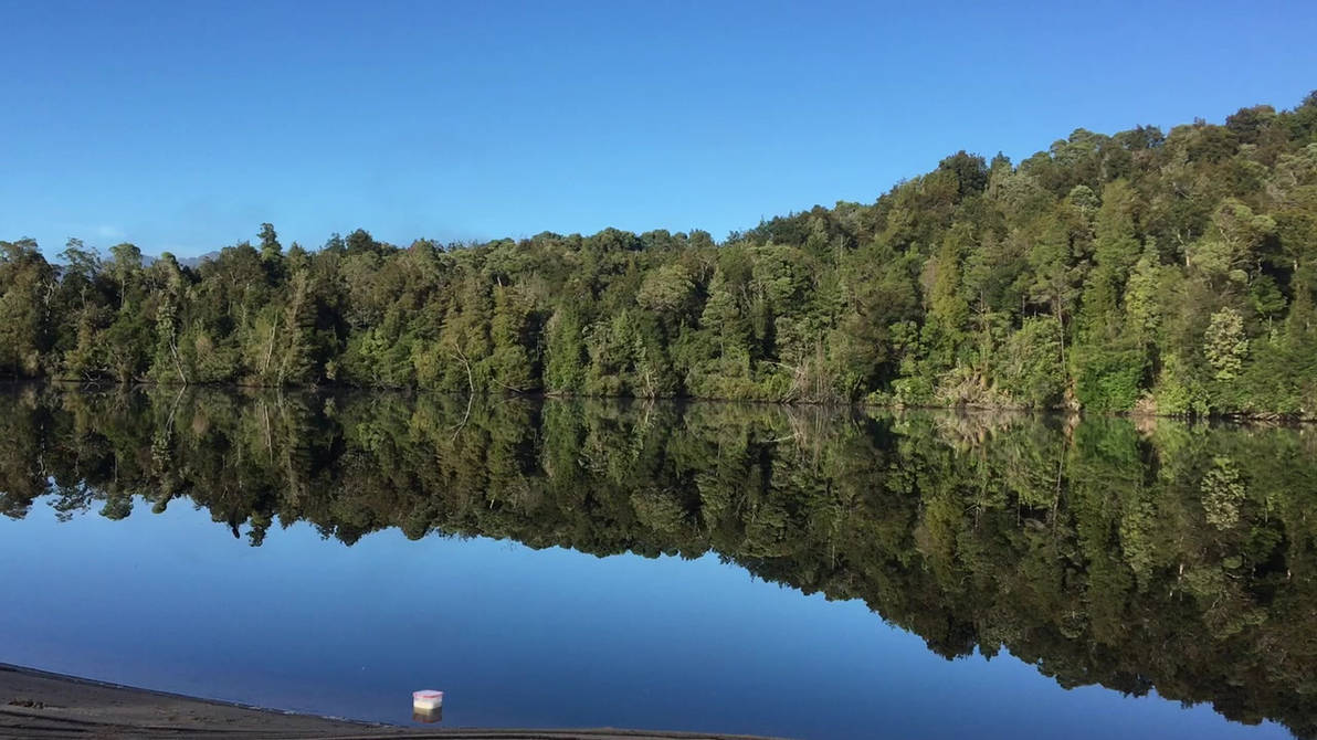 Reflections Snag Point on Gordon River by terrytassie on DeviantArt