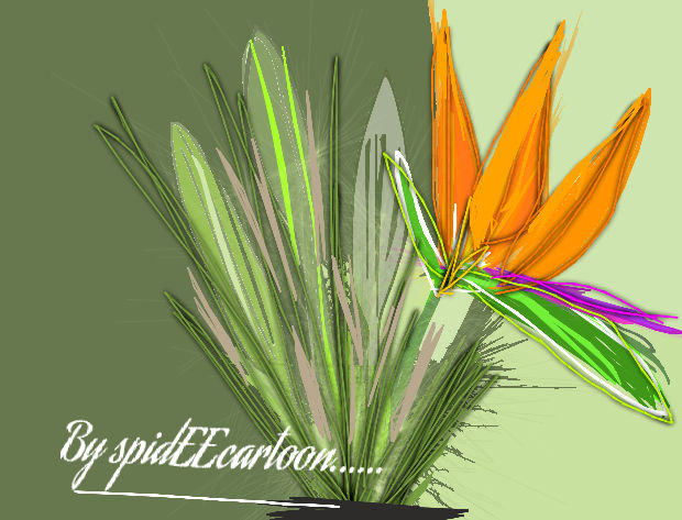 Bird of paradise by Spideecartoon on DeviantArt