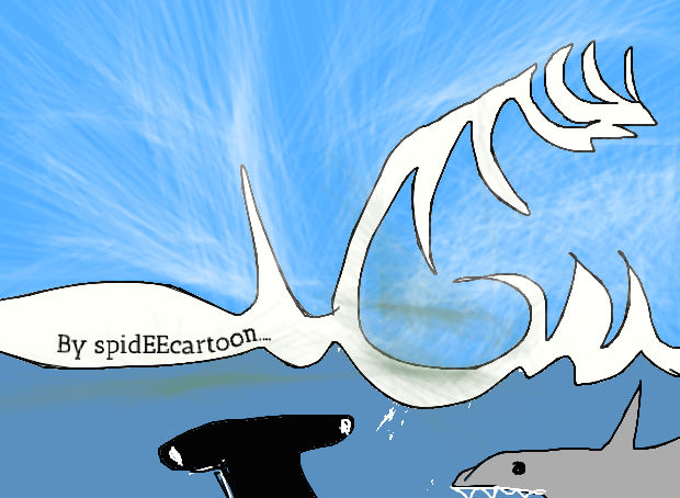 Two sharks by Spideecartoon on DeviantArt