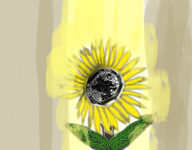 Sunflower by Spideecartoon on DeviantArt