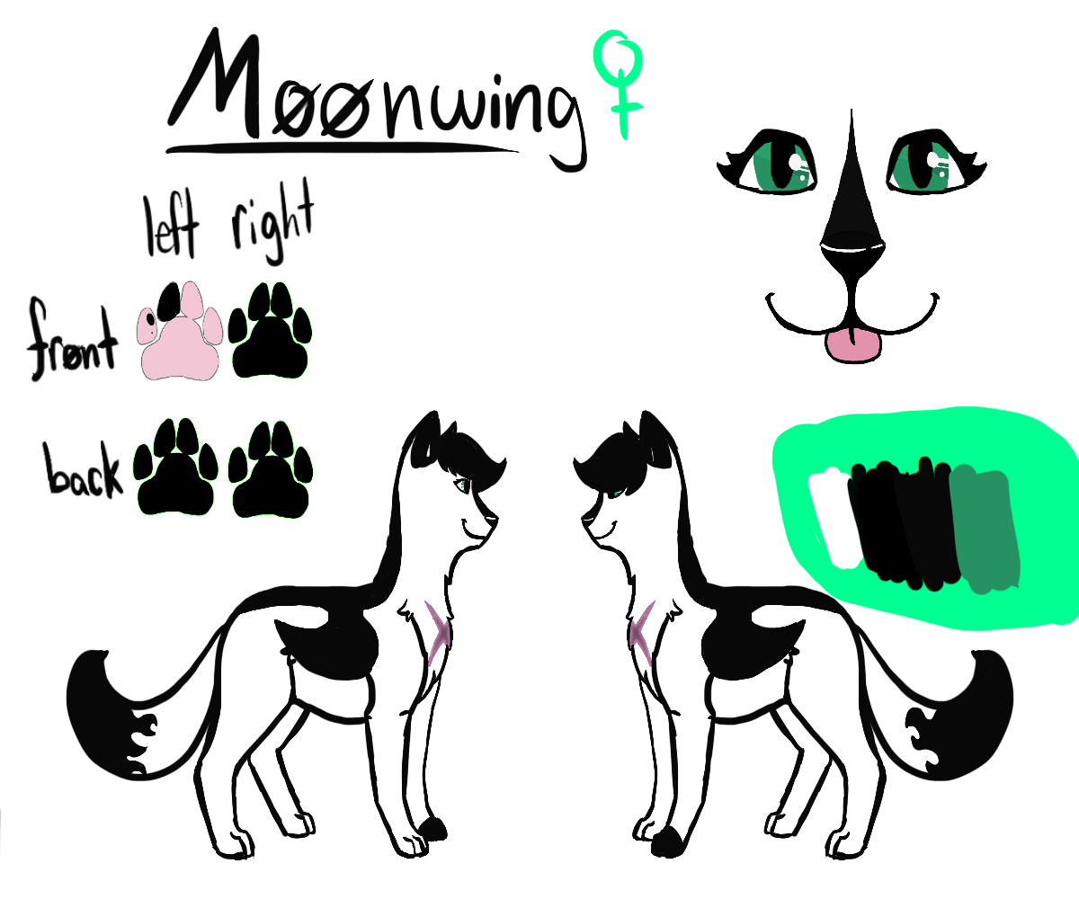 Moonwing Reference 3.0 by Sivvri on DeviantArt