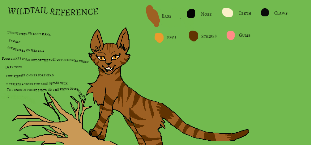 Wildtail Reference by kimbafan on DeviantArt