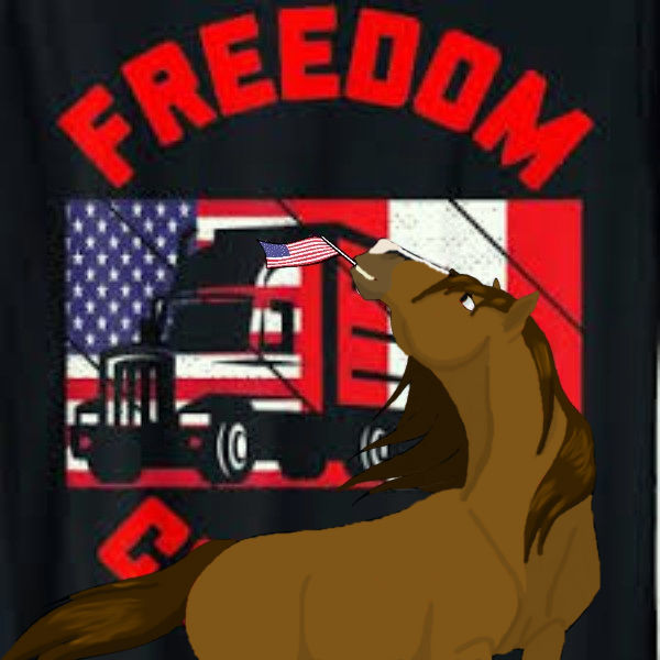 Roll On Freedom Convoy!!! by SnowyCreek on DeviantArt