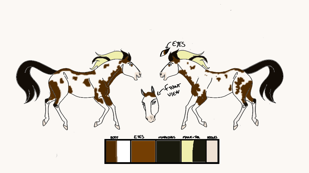 Ember Reference Sheet *Outside herd~TheChosens* by SnowyCreek on DeviantArt