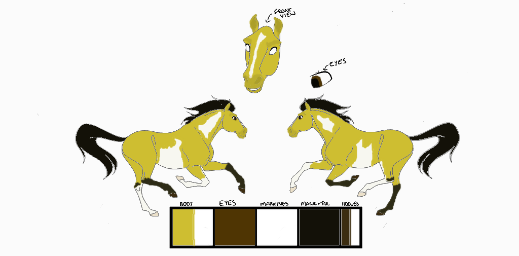 Rocky Reference Sheet *Benewah herd~Leaders son* by SnowyCreek on ...
